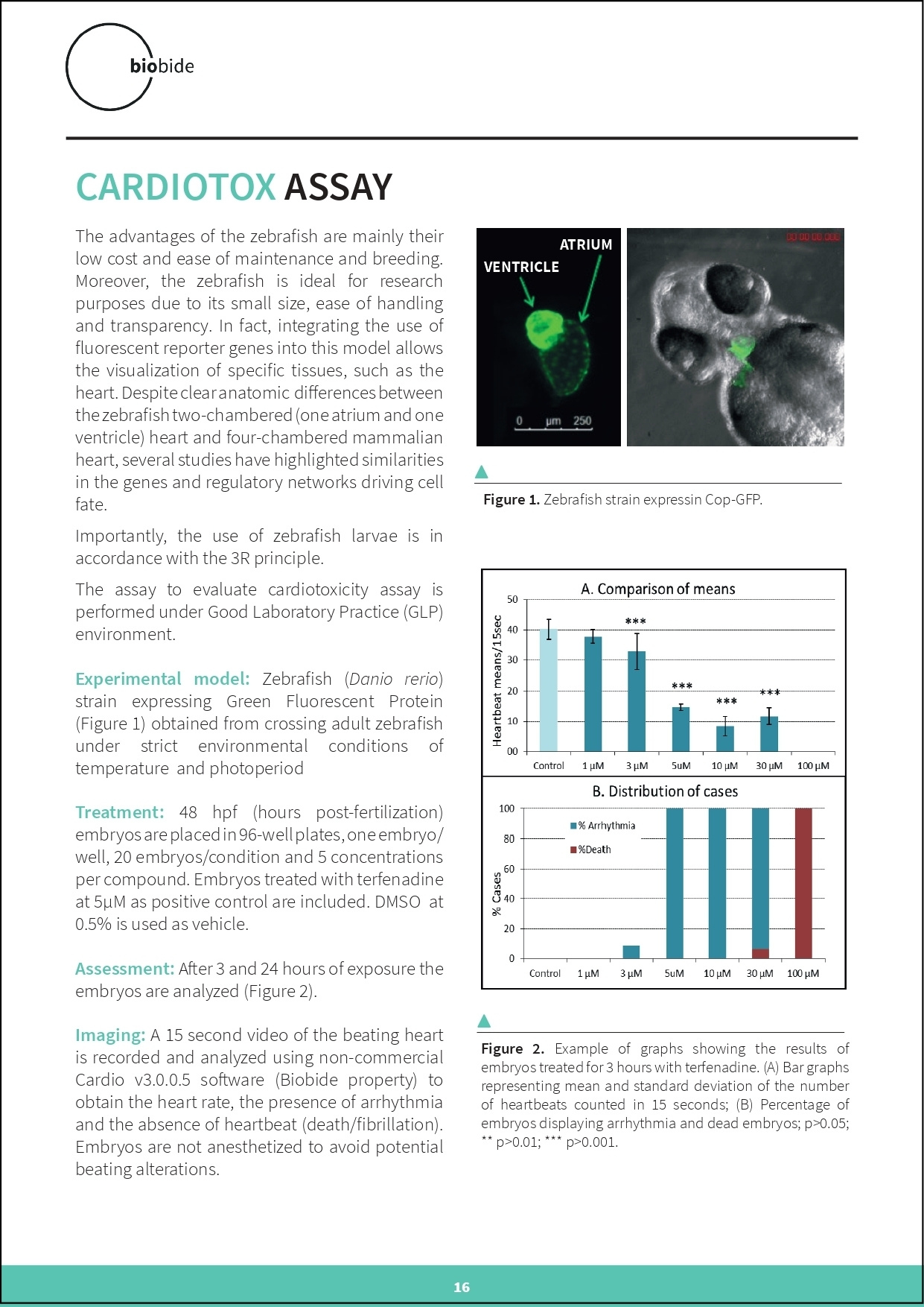 Free Guide - 7 Toxicity Assays